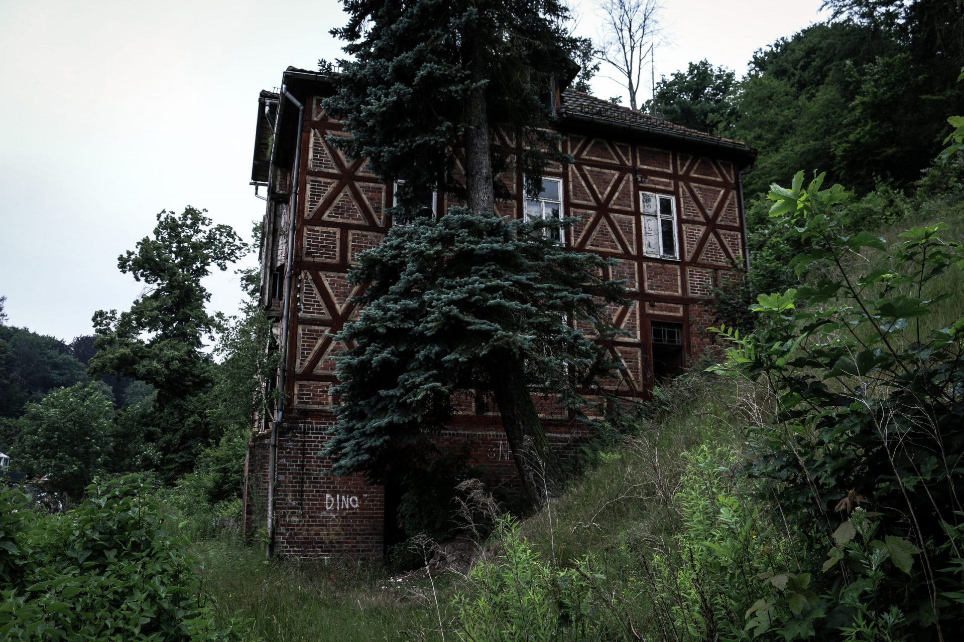 Mansion - Eastern Exploration