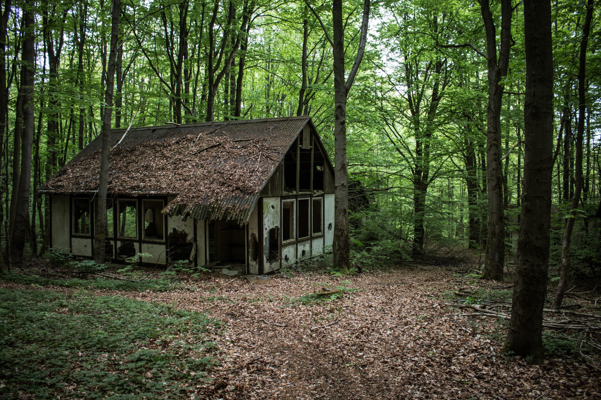 Betriebsferienlager of the Buna-Werke - Eastern Exploration